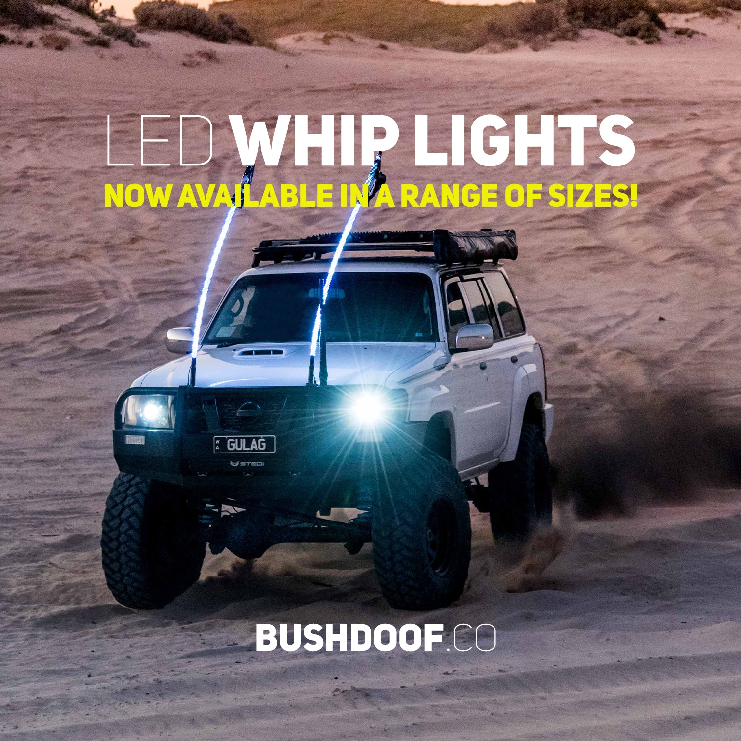 LED Whip Lights 4WD | RGB Light Up & Glow Aerials – Bushdoof Lighting