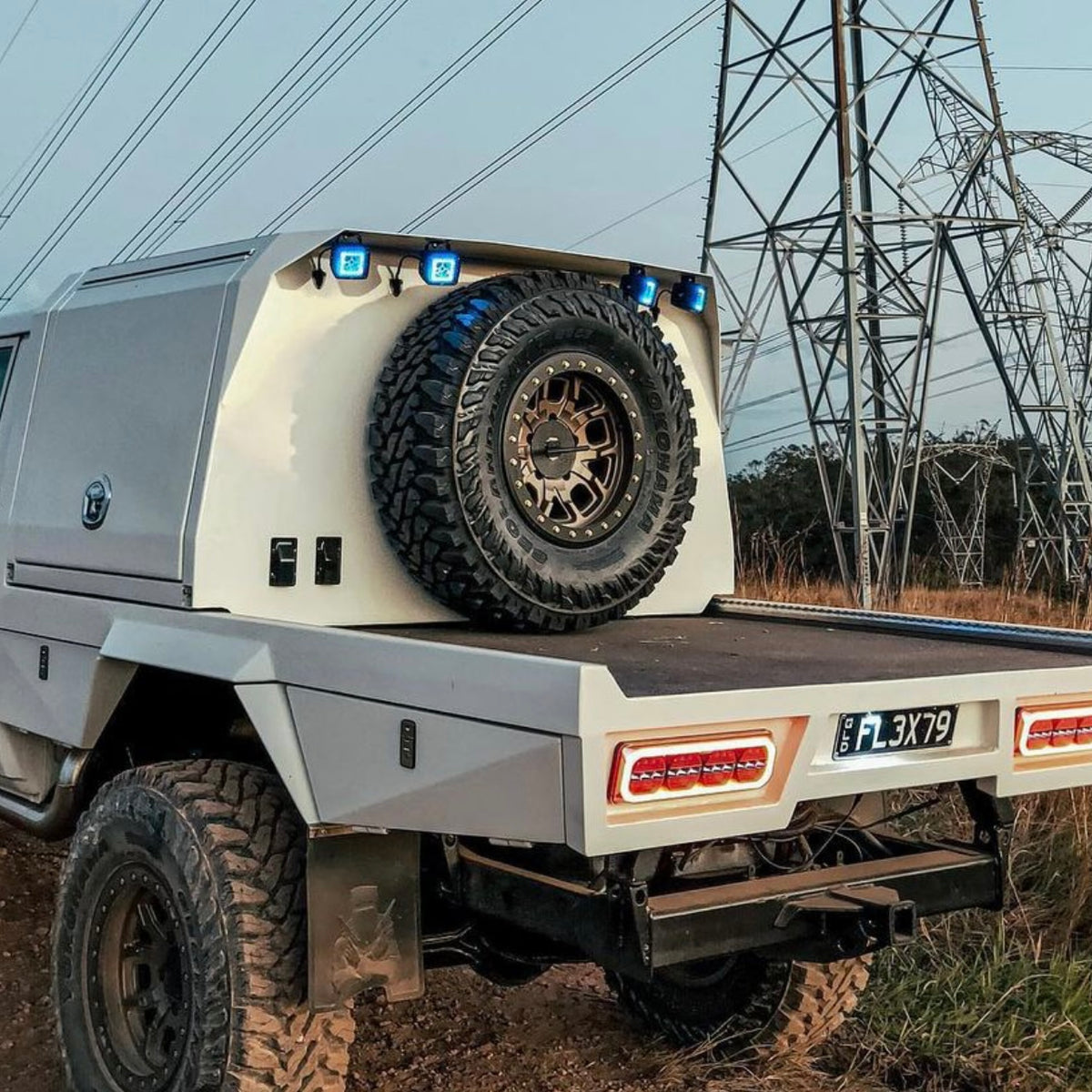 LED Whip Lights 4WD | RGB Light Up & Glow Aerials – Bushdoof Lighting